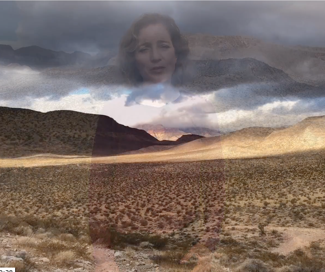 Self Without Interpretation - DISCOVERY Children's Museum