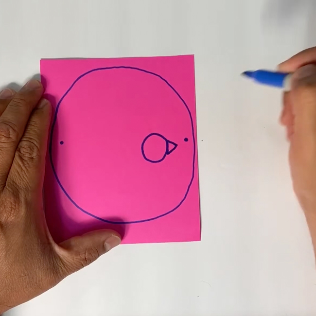 Make Your Own Shadow Bird Animation - DISCOVERY Children's Museum