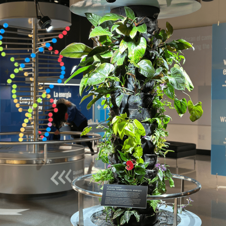 Energy Exhibit - DISCOVERY Kids LV